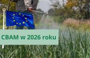 Nouveaux codes TARIC pour le CBAM : quels changements entreront en ...